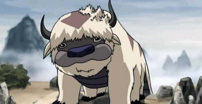 4 Fakta Unik Karakter Appa Avatar yang Disebut Mirip Rigen?